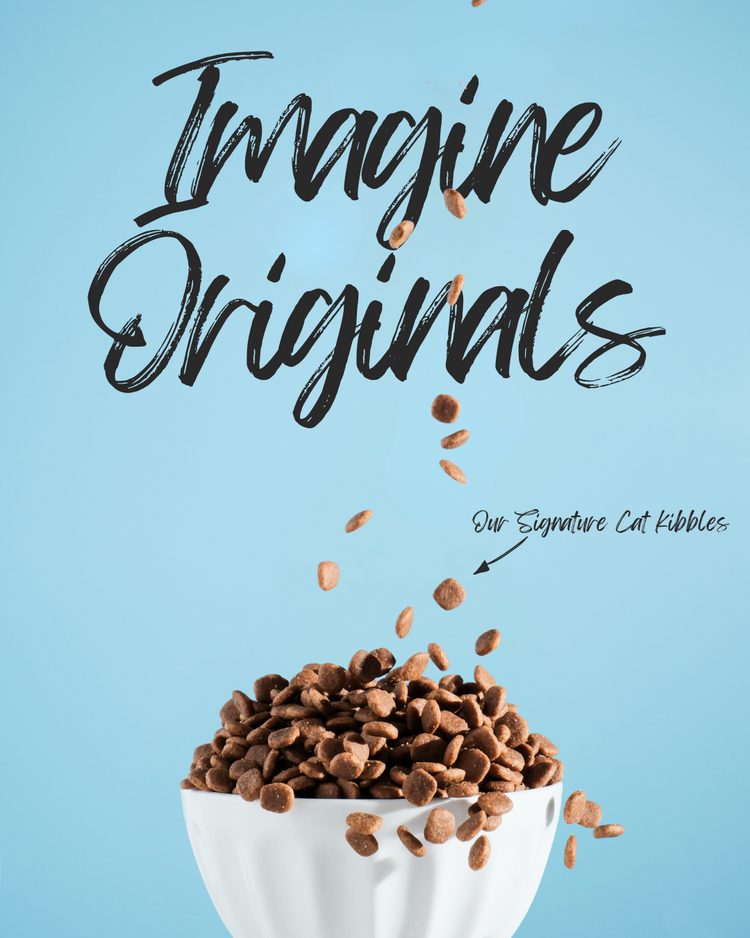 Imagine Pets - Premium Cat Food made for Malaysian cats